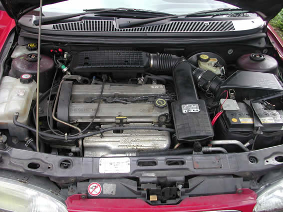 ZVH - Show Us Your Motor - EscortEvolution.co.uk